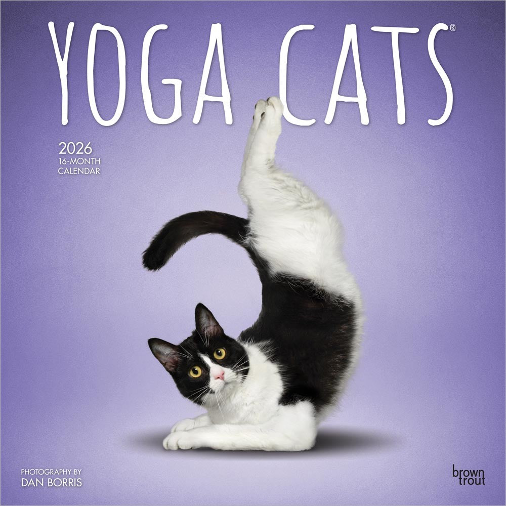 Wyman - 2026 Calendar - Yoga Cats – Buchan's Kerrisdale Stationery