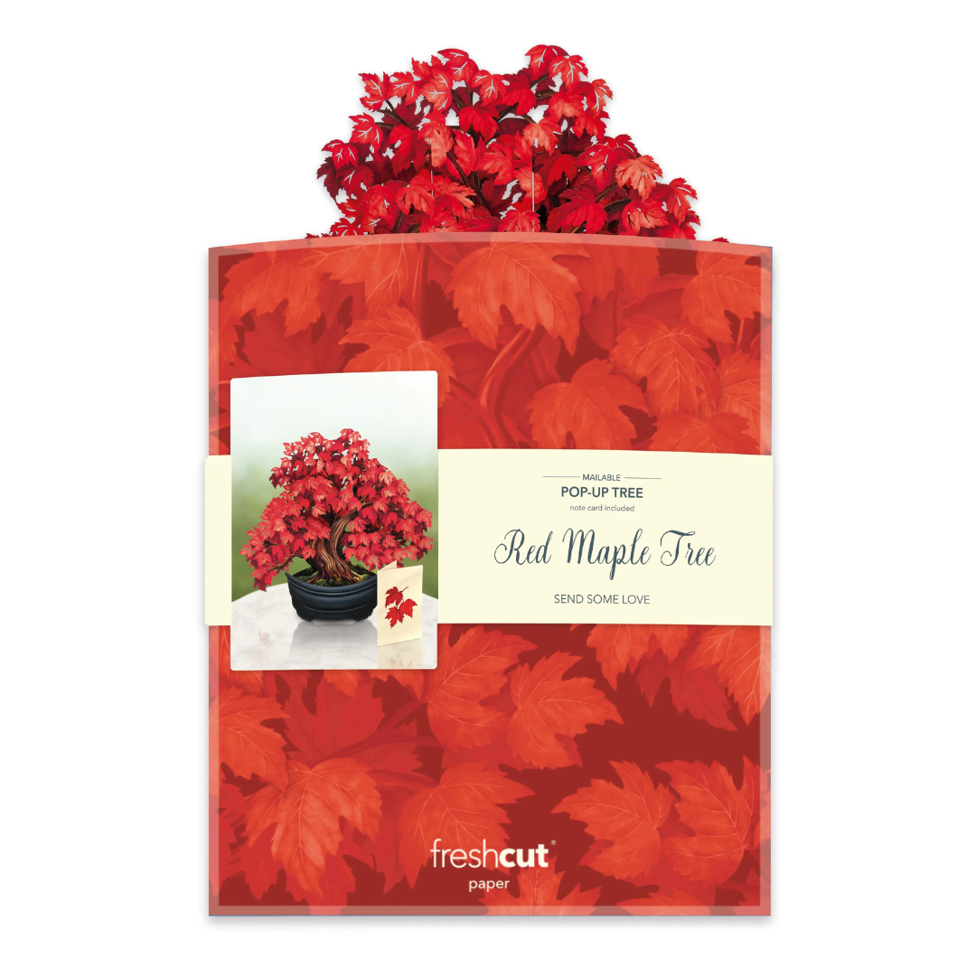 Fresh Cut Paper - Life Sized Pop-Up Tree with Note Card - Red Maple Tr ...